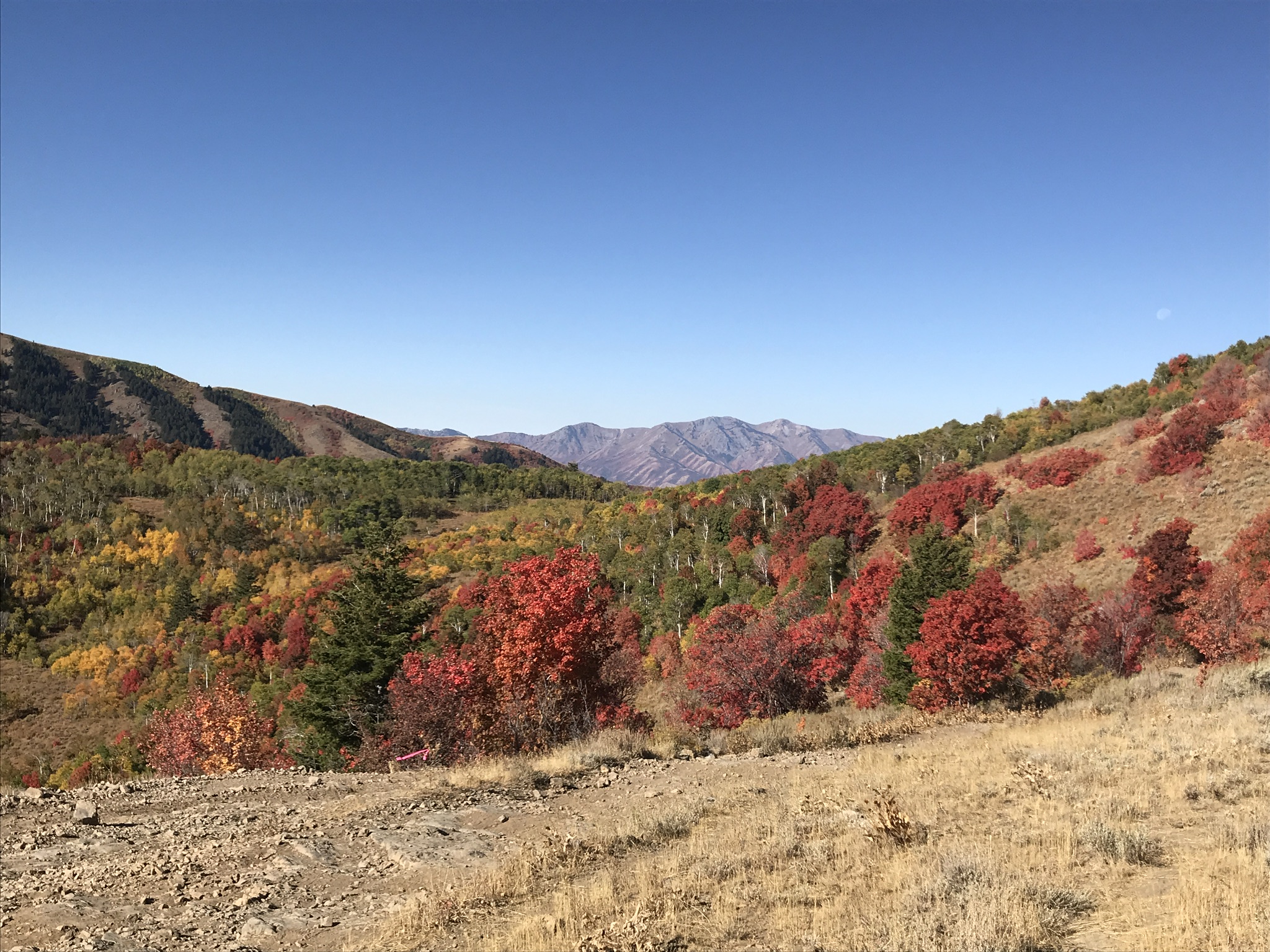 The Bear 100 Race Report - Miles4Hips